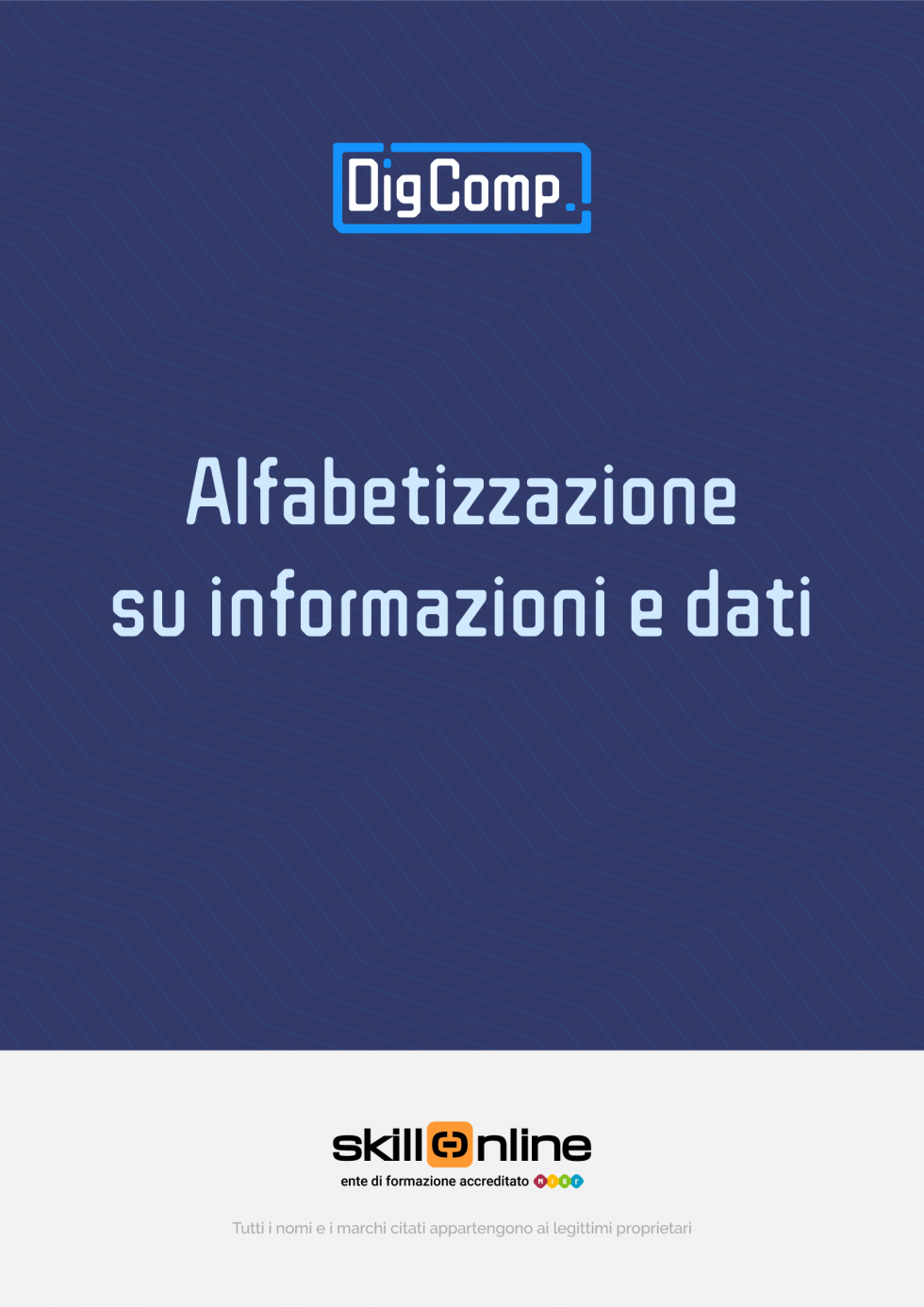 DigComp 2.2